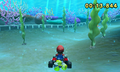 Cheep Cheep Lagoon (3DS) - Super Mario Wiki, the Mario encyclopedia