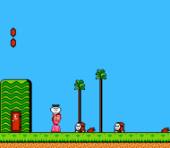 Subcon - Super Mario Wiki, the Mario encyclopedia