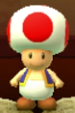 List of Toad profiles and statistics - Super Mario Wiki, the Mario ...