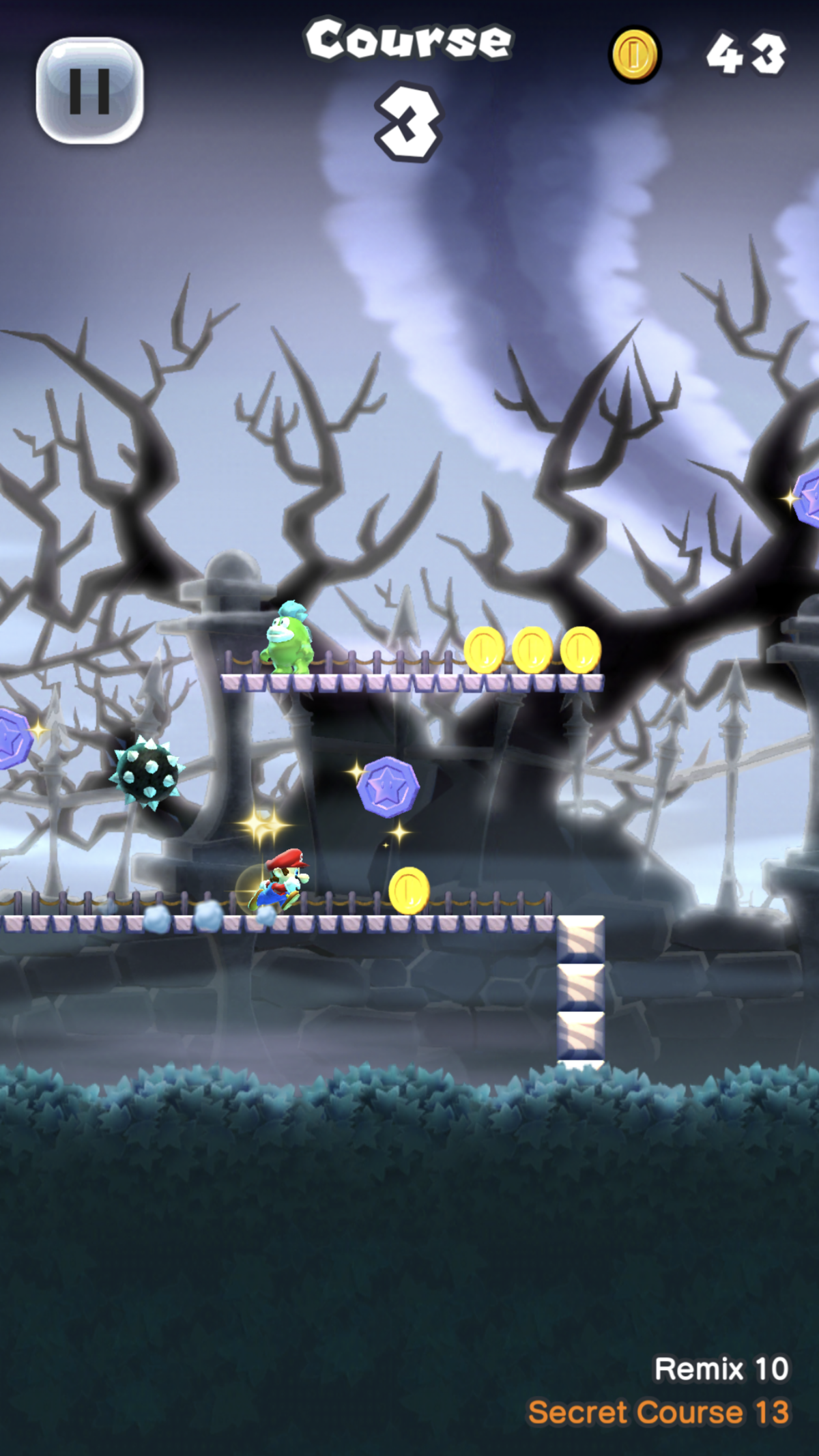 Secret Course 13 - Super Mario Wiki, the Mario encyclopedia