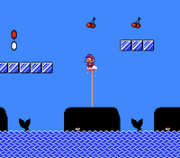 Whale - Super Mario Wiki, the Mario encyclopedia