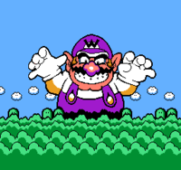Wario/Hipper | Smash Moveset Fanon Wiki | Fandom