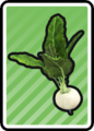 Turnip - Super Mario Wiki, the Mario encyclopedia
