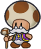 Toadsworth - Super Mario Wiki, the Mario encyclopedia