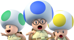 Hint Toad - Super Mario Wiki, the Mario encyclopedia