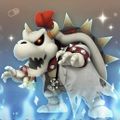 Gallery:Dry Bowser - Super Mario Wiki, the Mario encyclopedia