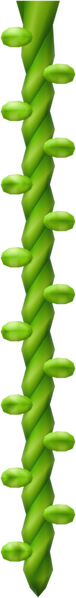 File:NSMBW Asset Model Vine.png - Super Mario Wiki, the Mario encyclopedia