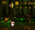 Category:Donkey Kong Country 2: Diddy's Kong Quest Images - Super Mario ...
