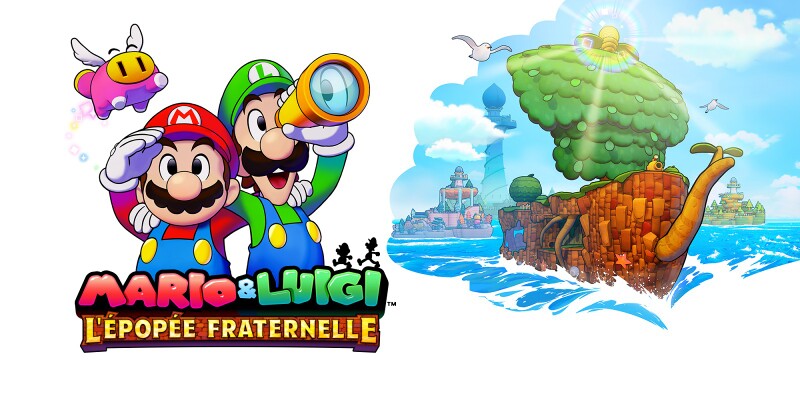 File:M&LBr.frenchka.jpg - Super Mario Wiki, the Mario encyclopedia