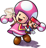 Toadette - Super Mario Wiki, the Mario encyclopedia