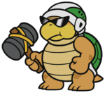 Shady Sledge Bro - Super Mario Wiki, the Mario encyclopedia